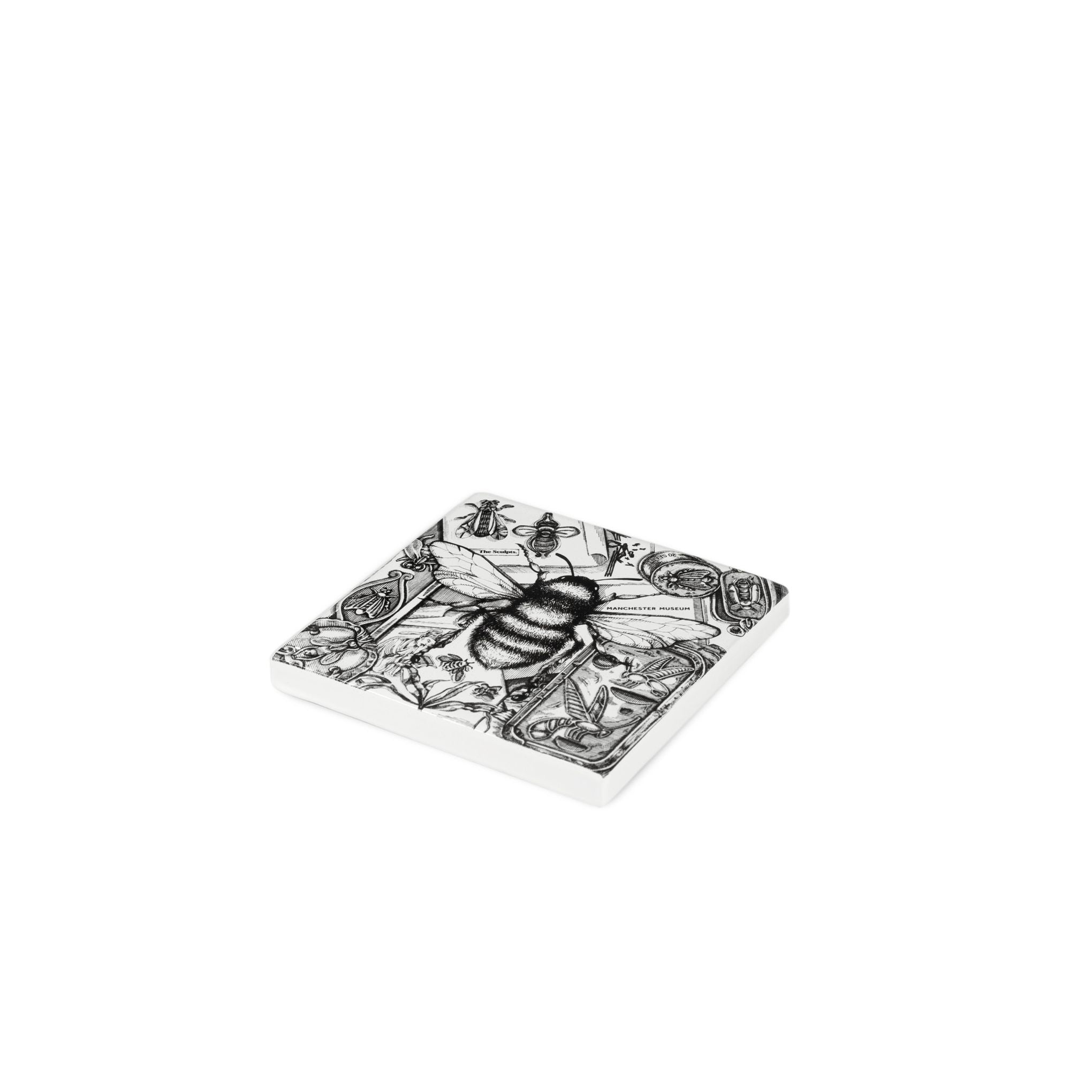 Home & Garden – Manchester Museum